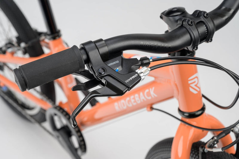 Ridgeback Dimension 20 Kids Bike Peachy Dream - North Bikes